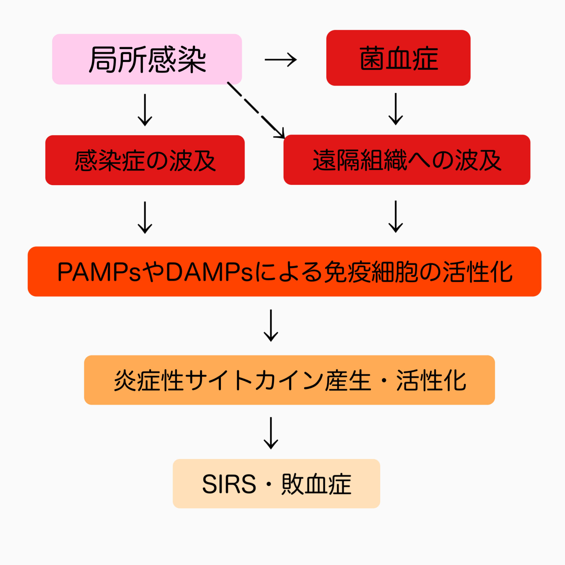 【救急看護】月刊ナーシングから読み解く敗血症における対応 - ER-Nurse HOT LINE