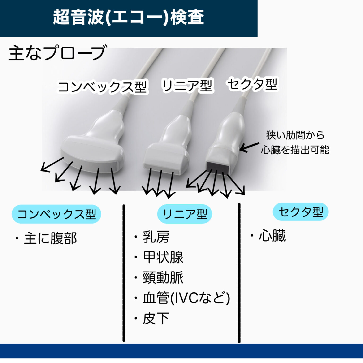 【救急看護】初心者必見！看護師が伝えるエコー検査の基礎 - ER-Nurse HOT LINE