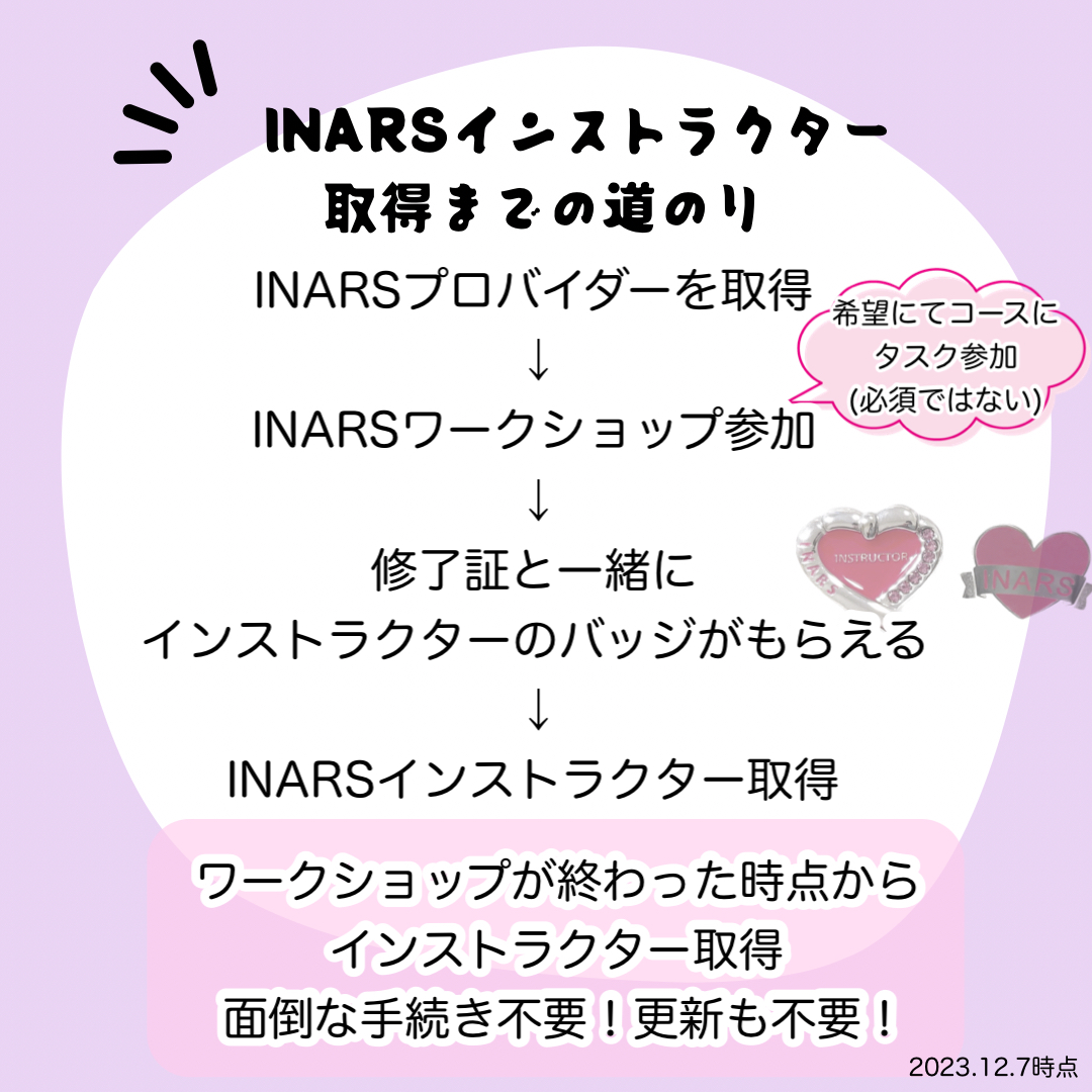 【救急看護】若手看護師オススメの資格 INARSインストラクターとは - ER-Nurse HOT LINE