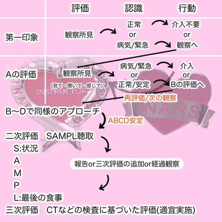 【救急看護】INARSの基礎知識と学習内容 - ER-Nurse HOT LINE