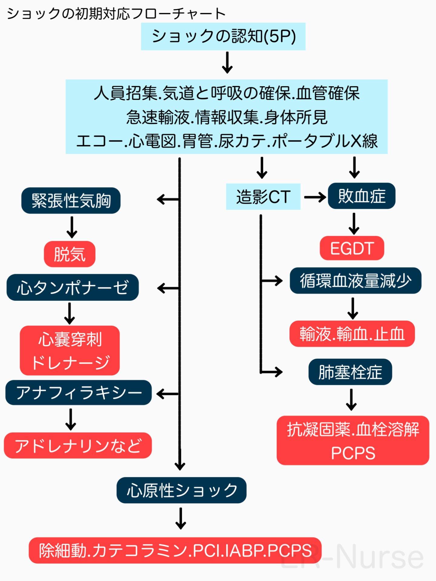 【症状別看護】ショックに対する症候学 - ER-Nurse HOT LINE